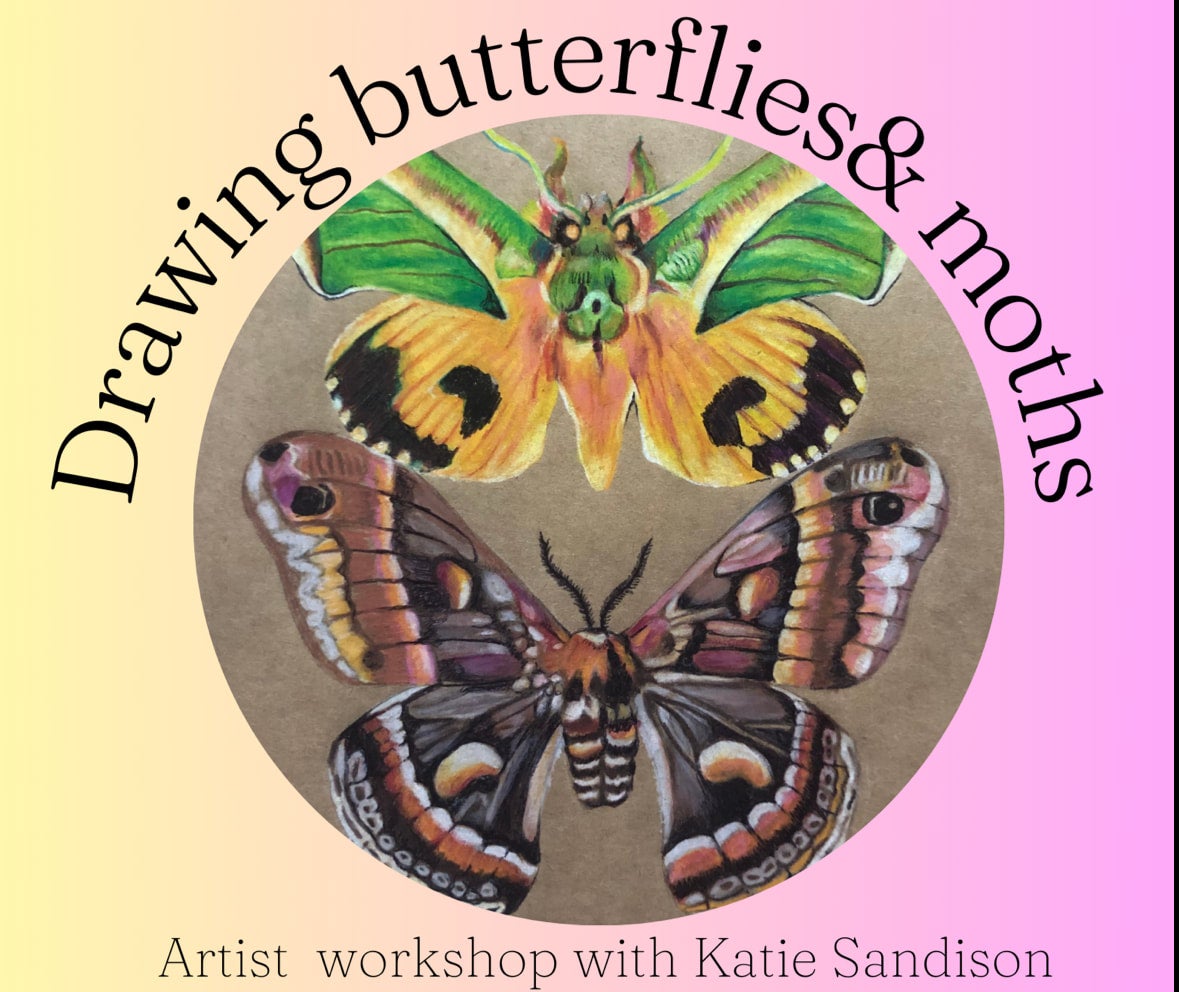 Prisma Colour Moth drawings on wood in a circle art workshop with Katie ...